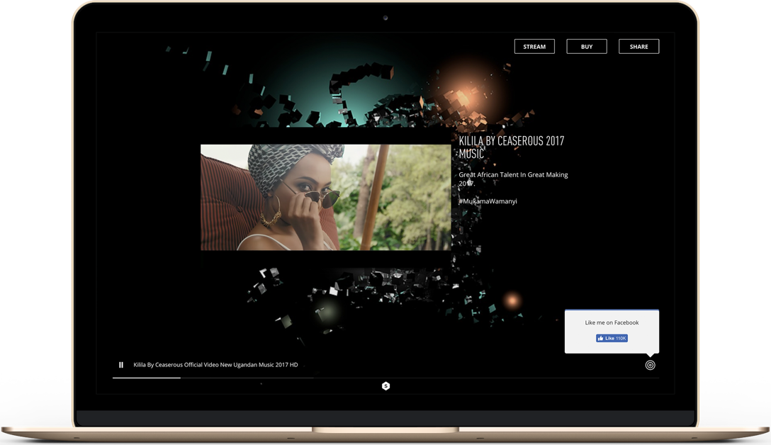 Show.co - Music marketing and promotion that works!